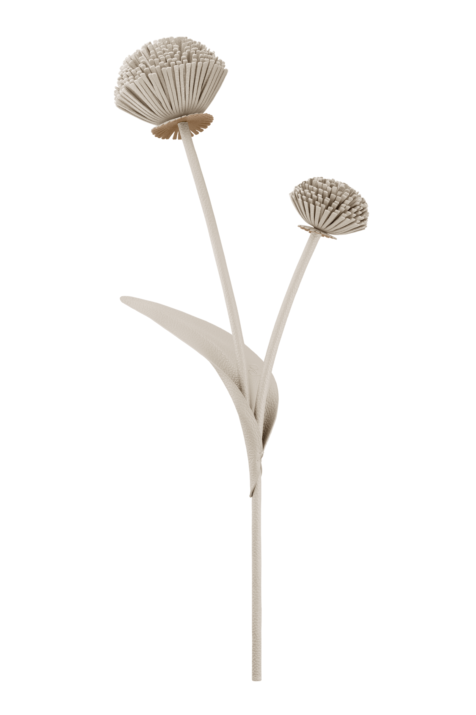 The new Luxury Leather Goods Brand based in Paris. – Polène